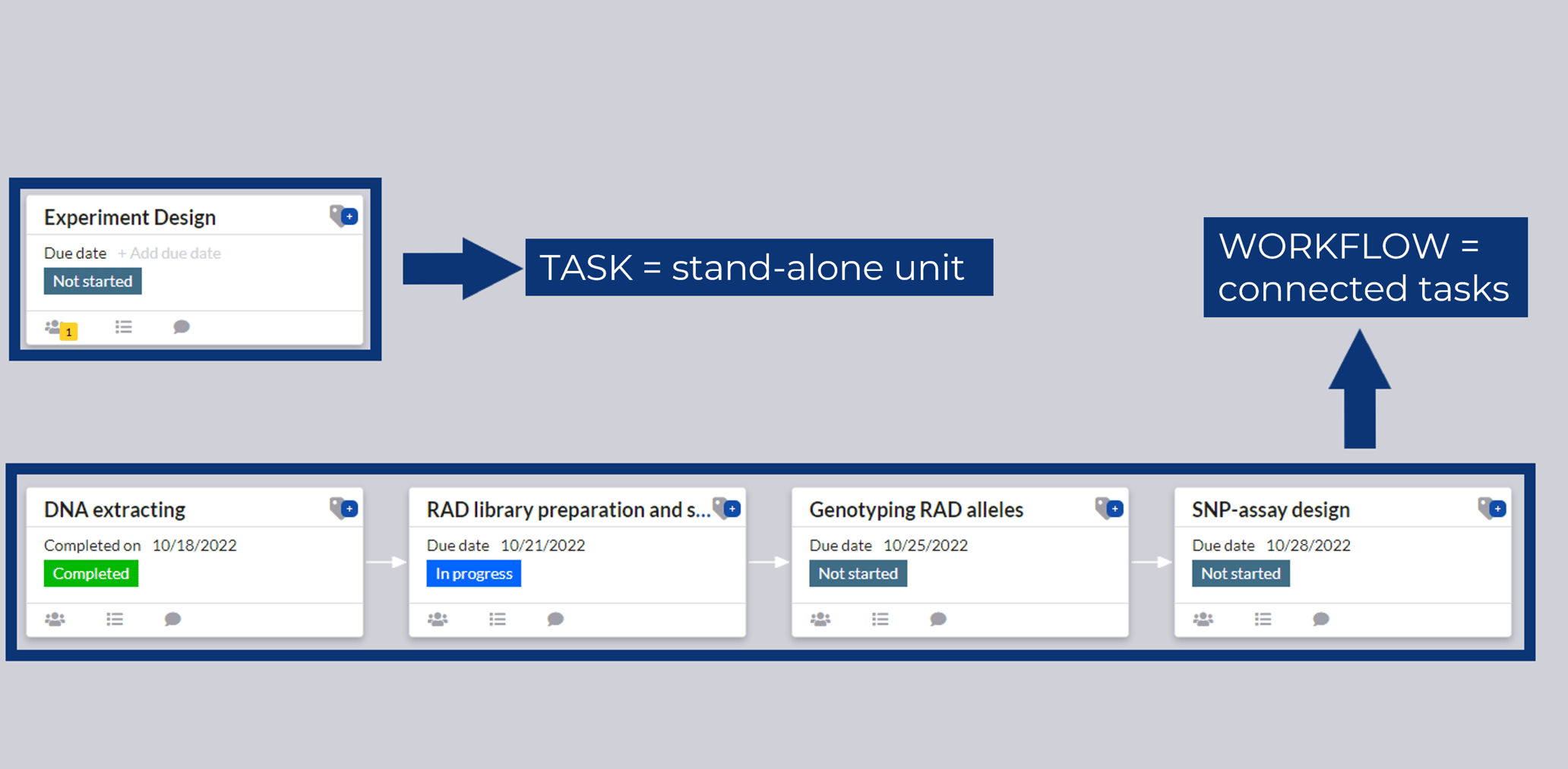 What is SciNote’s Structure?